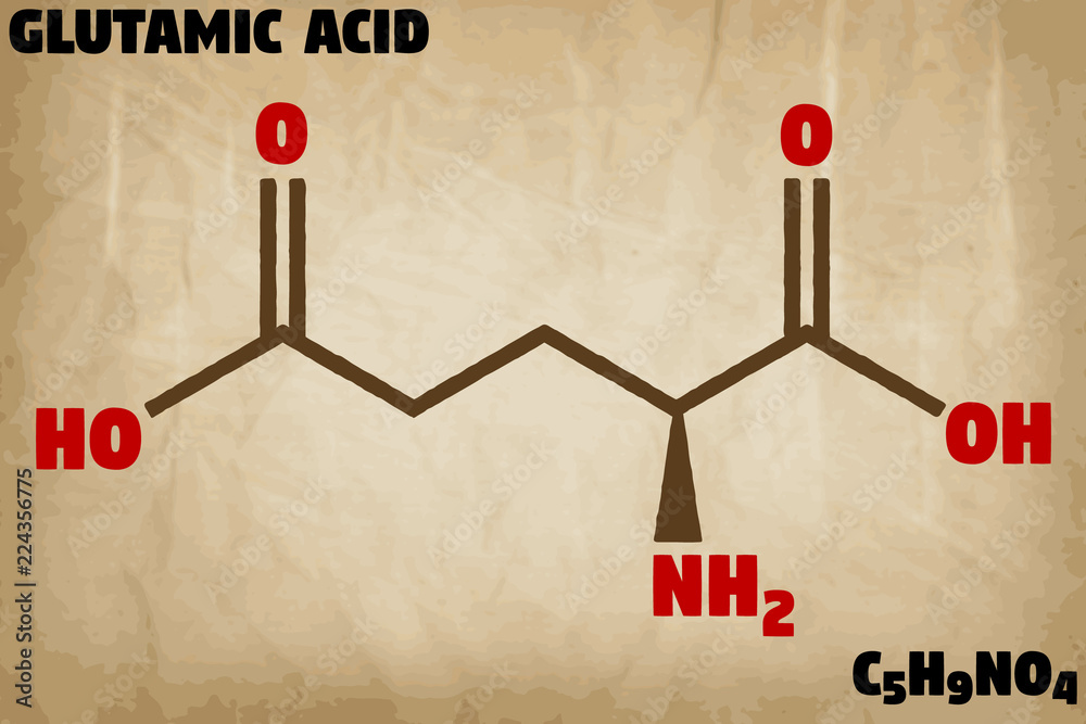 Detailed infographic illustration of the molecule of glutamic acid ...