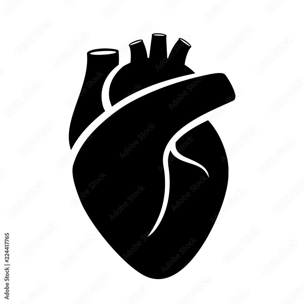 Human heart medical vector icon Stock Vector | Adobe Stock