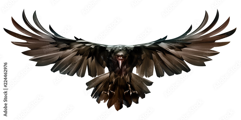 painted colored bird in flight raven front Stock Illustration | Adobe Stock