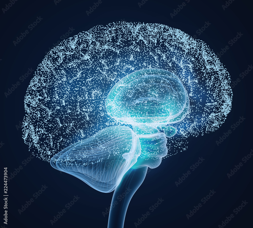 Human brain X-ray scan , Medically accurate 3D illustration Stock ...