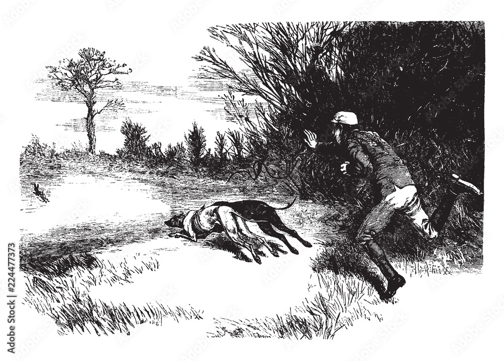 Vintage Rabbit Hunting