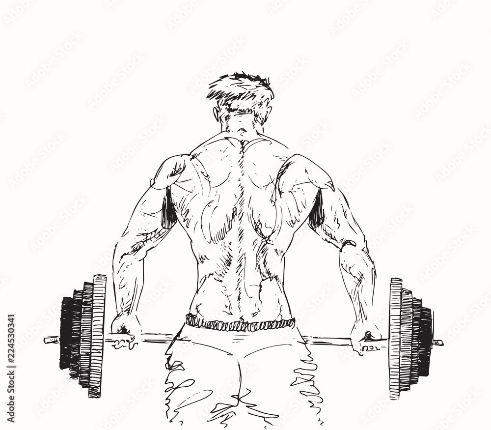 Back Muscles Man Drawing