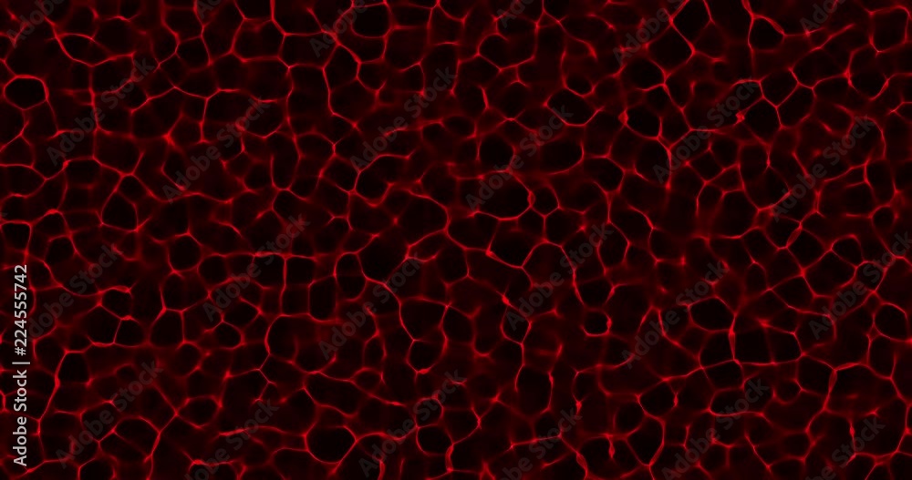 Cells multiplying under a microscope. Stock Video | Adobe Stock