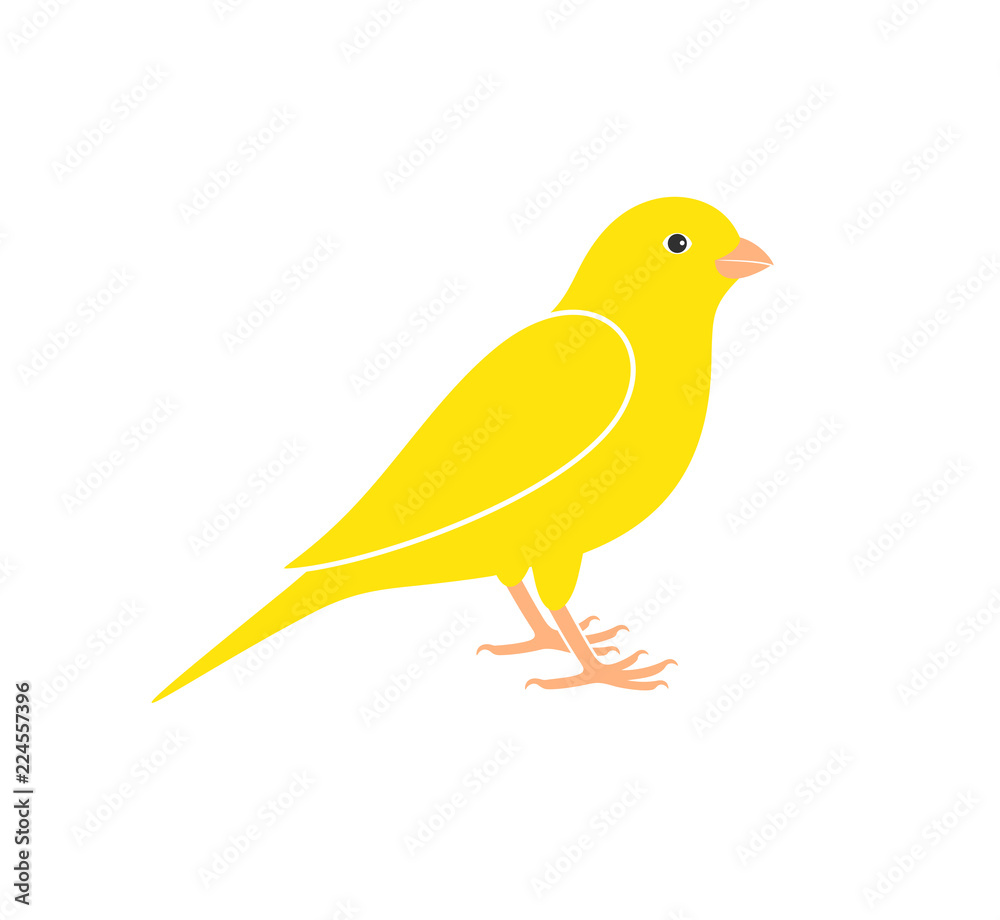 Canary logo. Isolated canary on white background Stock Vector | Adobe Stock