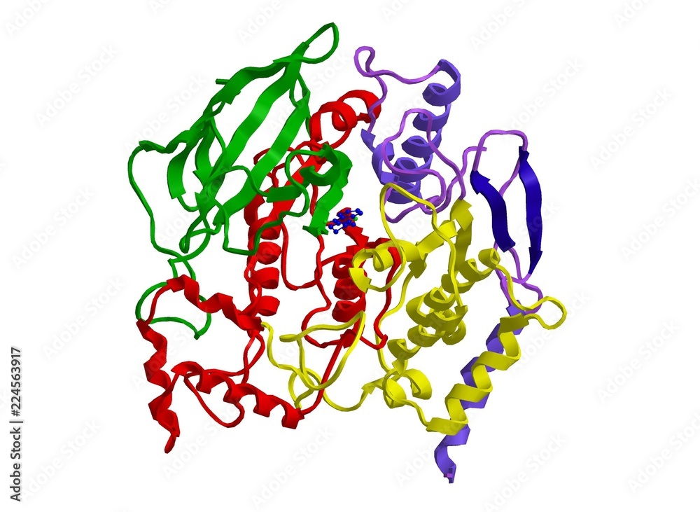 Molecular structure of Acetylcholinesterase, 3D rendering Stock ...