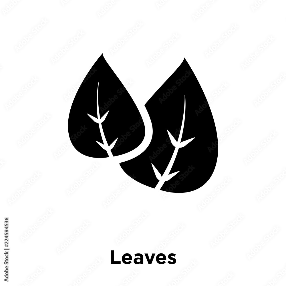 leaves icon vector isolated on white background, logo concept of leaves ...