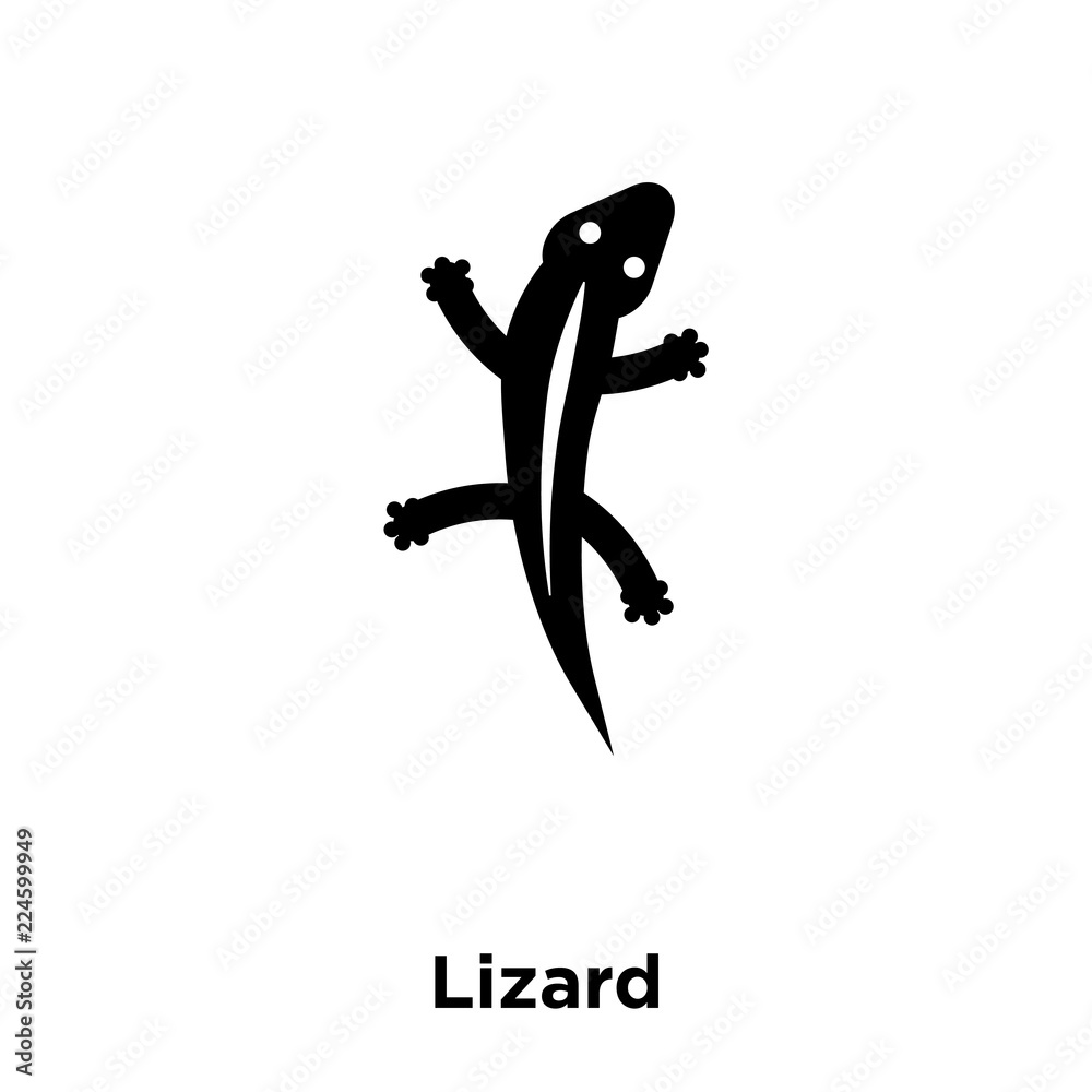 lizard icon vector isolated on white background, logo concept of lizard ...