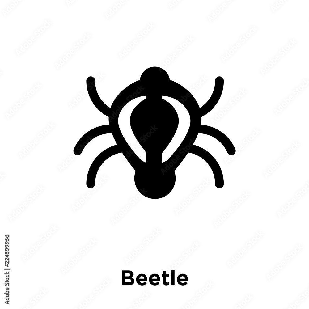 beetle icon vector isolated on white background, logo concept of beetle ...