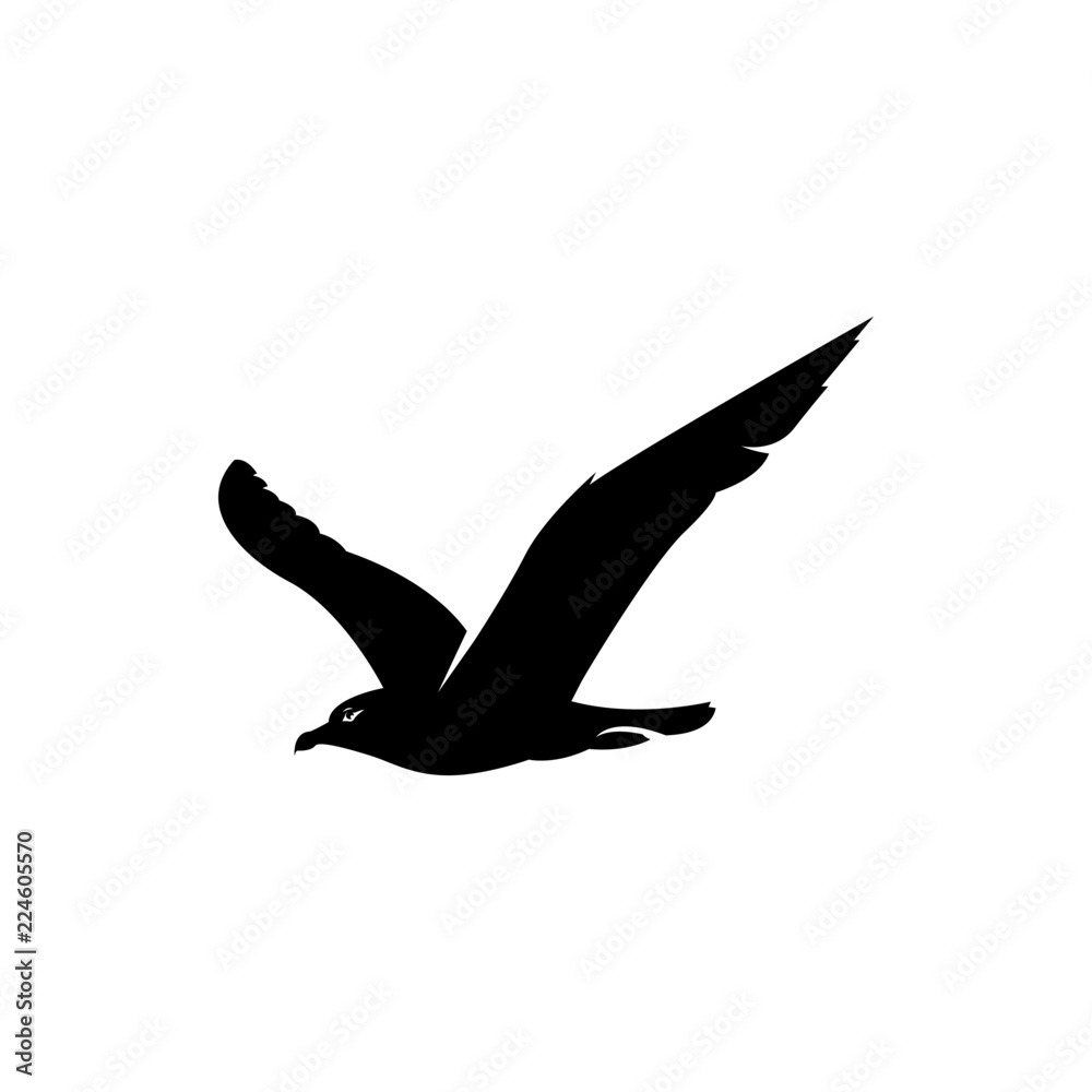 gull vector silhouette Stock Vector | Adobe Stock