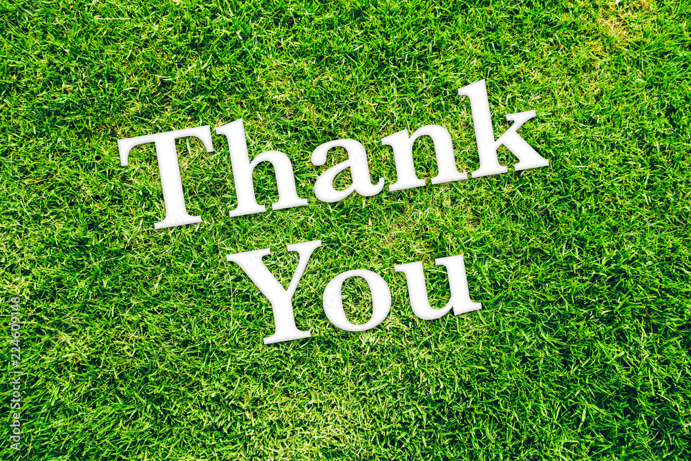 thank you written on grass Stock Photo | Adobe Stock