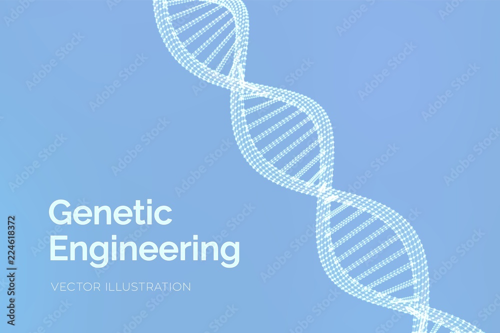DNA sequence. Wireframe DNA molecules structure mesh. DNA code editable ...