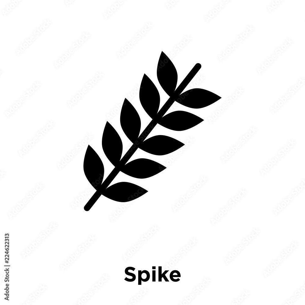 spike icon vector isolated on white background, logo concept of spike ...