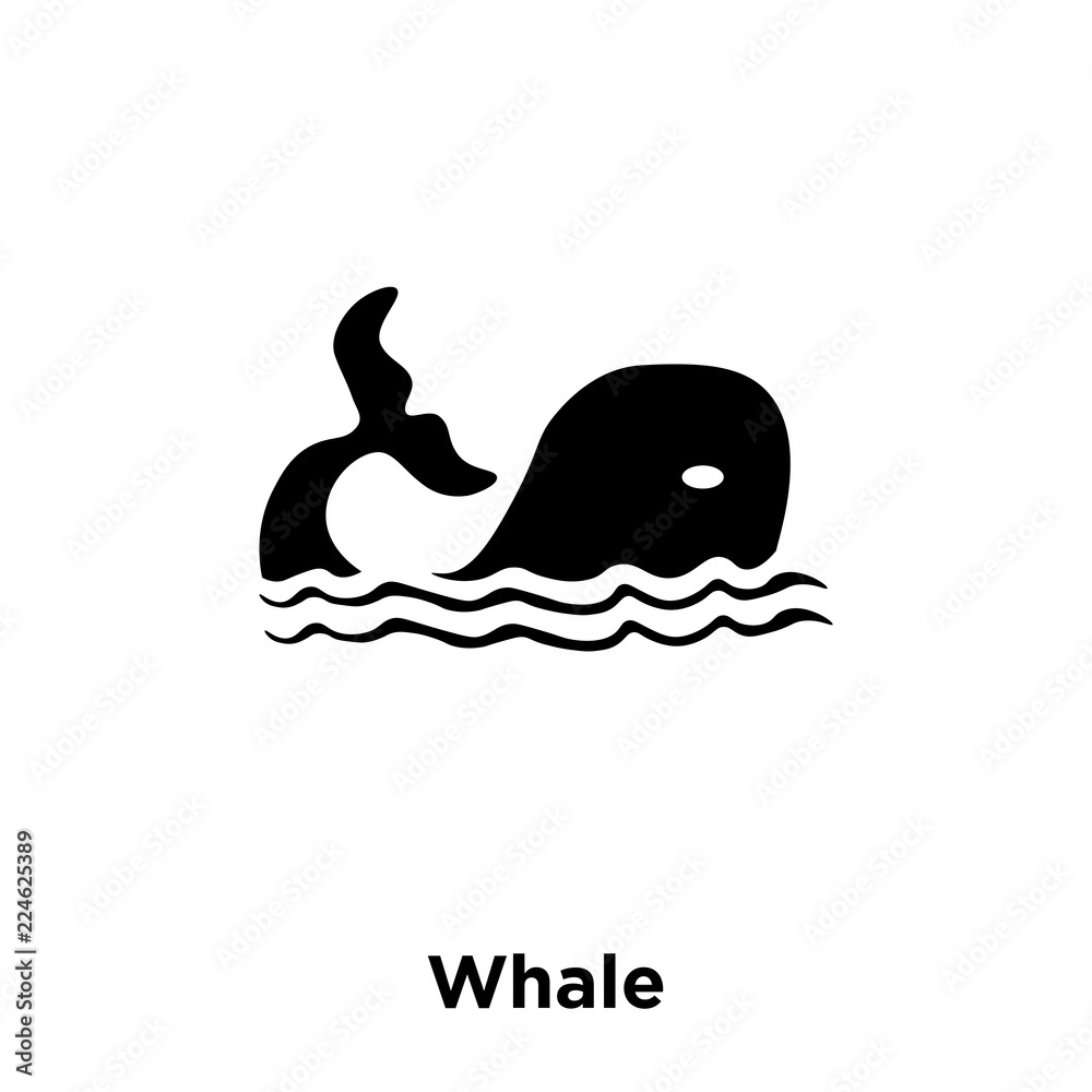 whale icon vector isolated on white background, logo concept of whale ...
