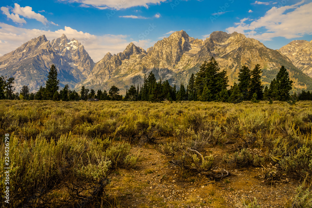 This is a view of the magnificent Teton Range from one of the many ...