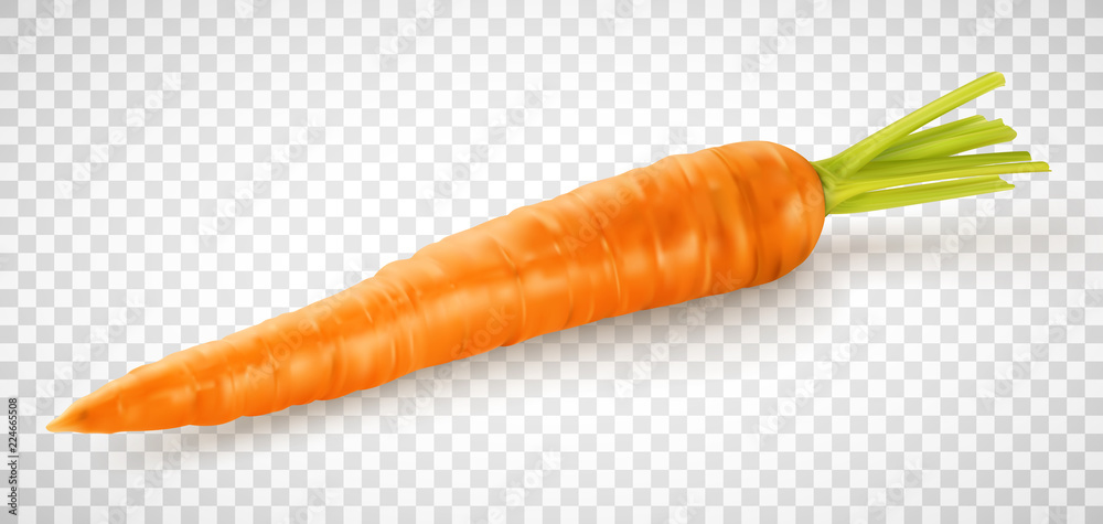 Carotte vectorielle 2 Stock Vector | Adobe Stock