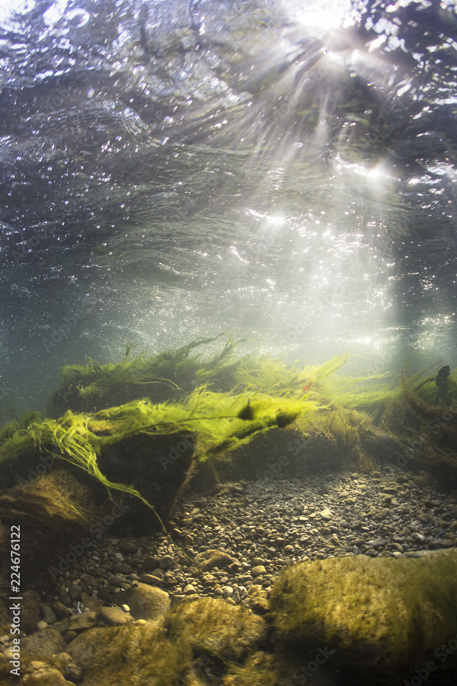 River underwater rocks on a shallow riverbed with clear water ...