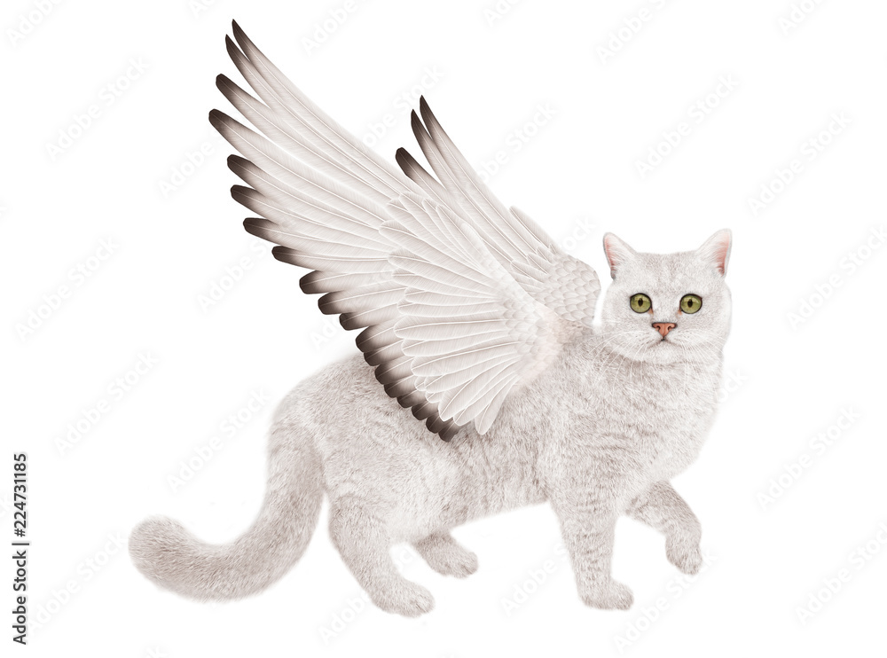 chat blanc volant, animal, félin, ailes, mythique, imaginaire ...