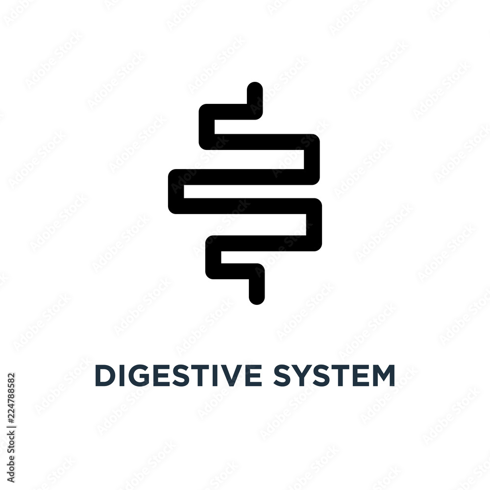 Digestive system icon. Simple element illustration. Digestive sy Stock ...
