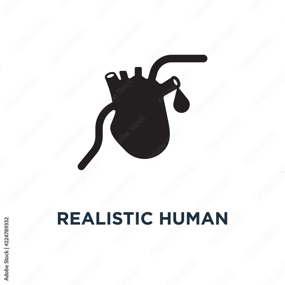 Realistic human heart icon. Simple element illustration. Realist Stock ...