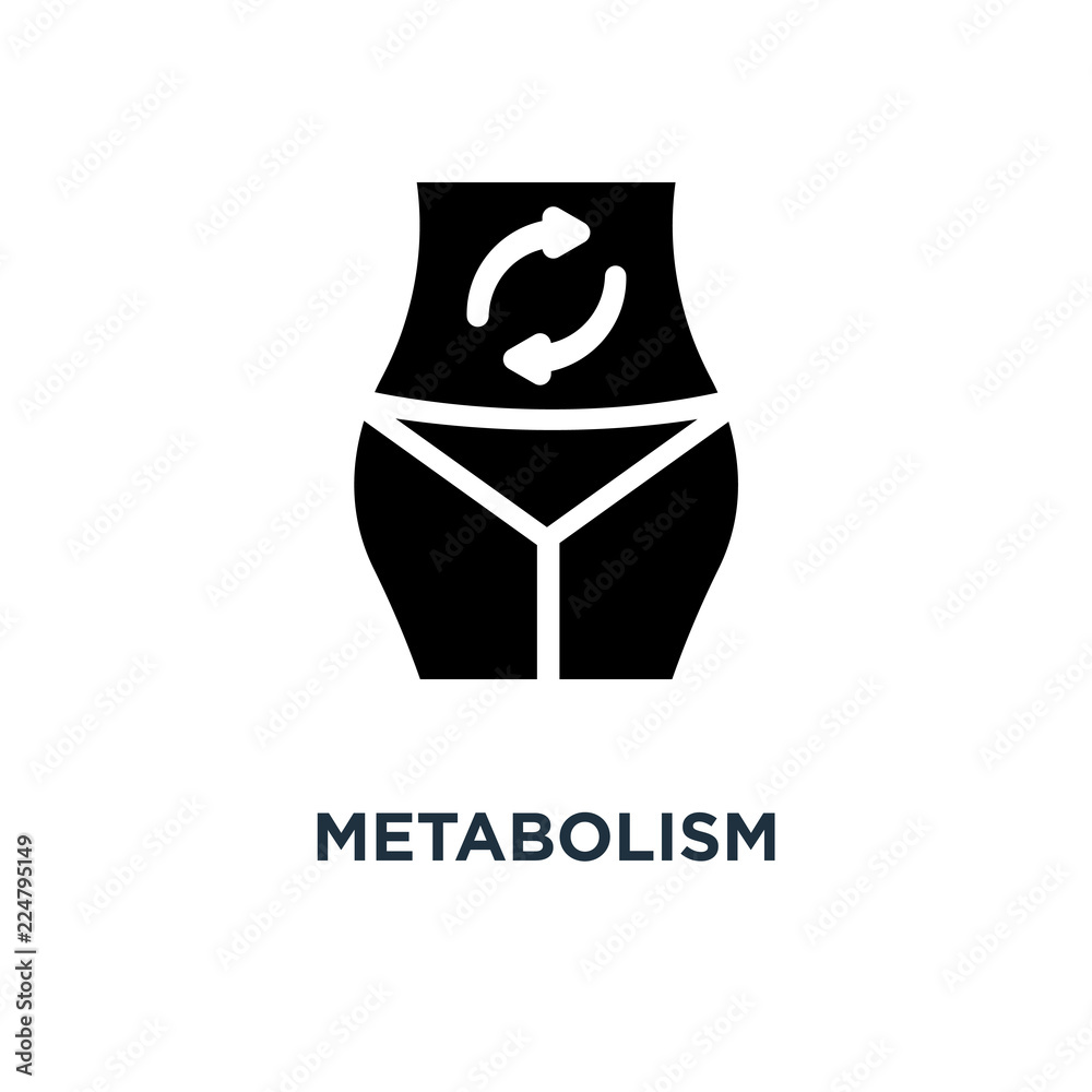 metabolism icon. metabolism concept symbol design, vector illust Stock ...