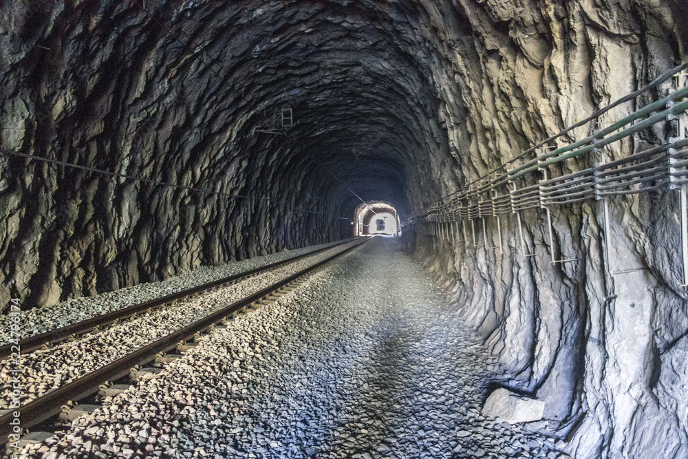 Interior of a railway tunnel inside a natural mountain with the track ...