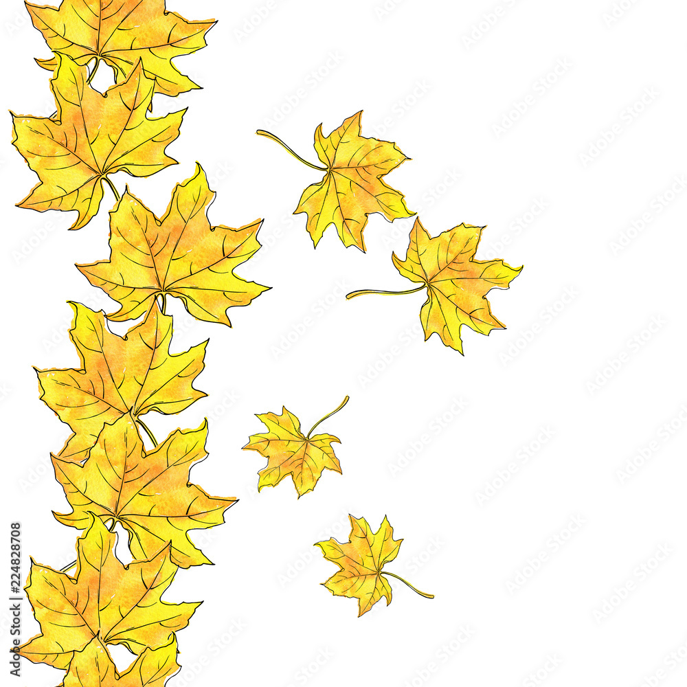 Yellow marple leaves seamles border on white background. Hand drawn ...