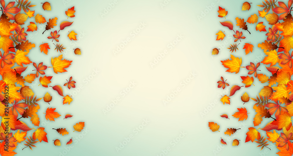 Autumn background with beautiful different golden leaves. Thematic сard ...