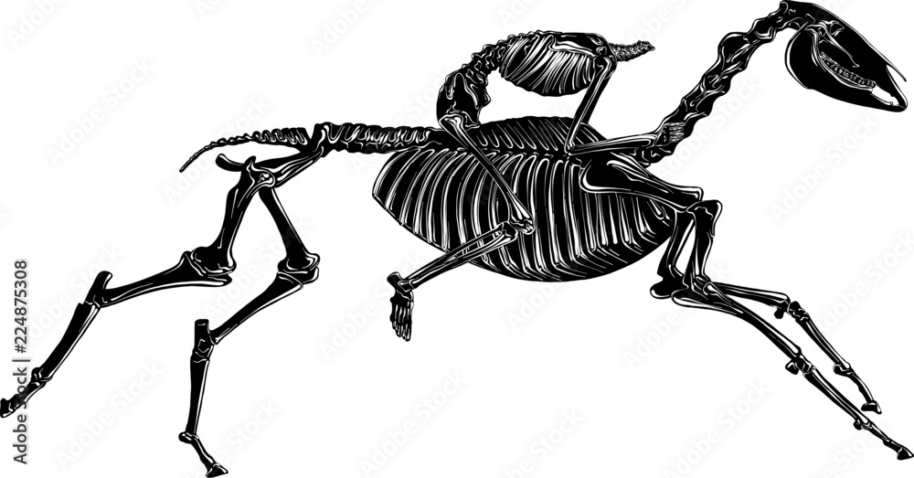 Vector engraved style illustration for posters, decoration and print ...