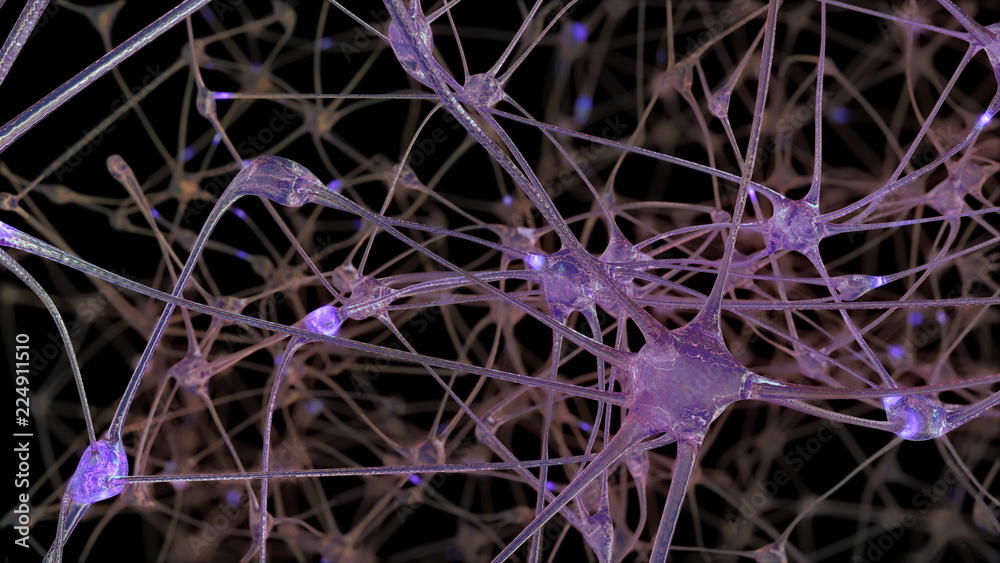 3D rendering of a network of neuron cells and synapses in the brain ...