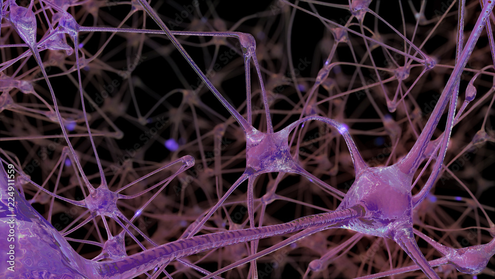 3D rendering of a network of neuron cells and synapses in the brain ...