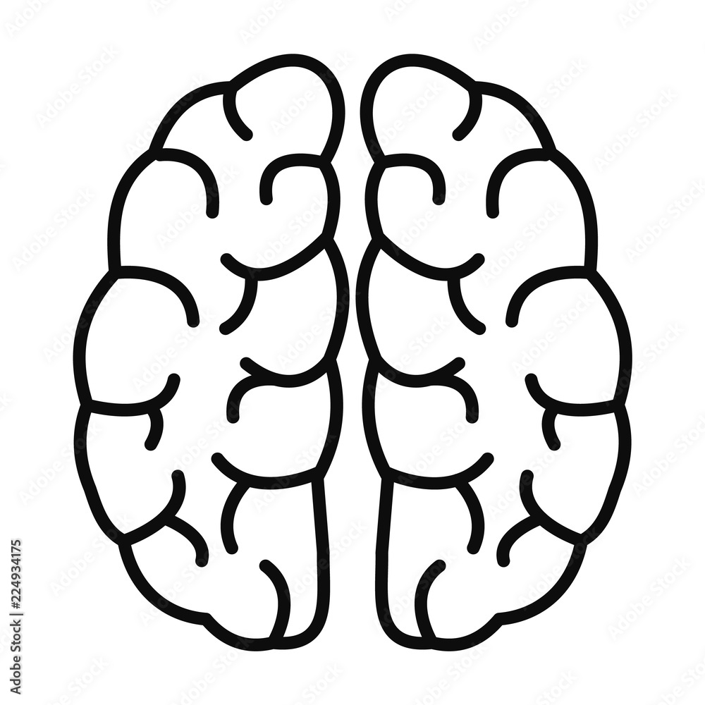 Human brain icon. Outline human brain vector icon for web design ...