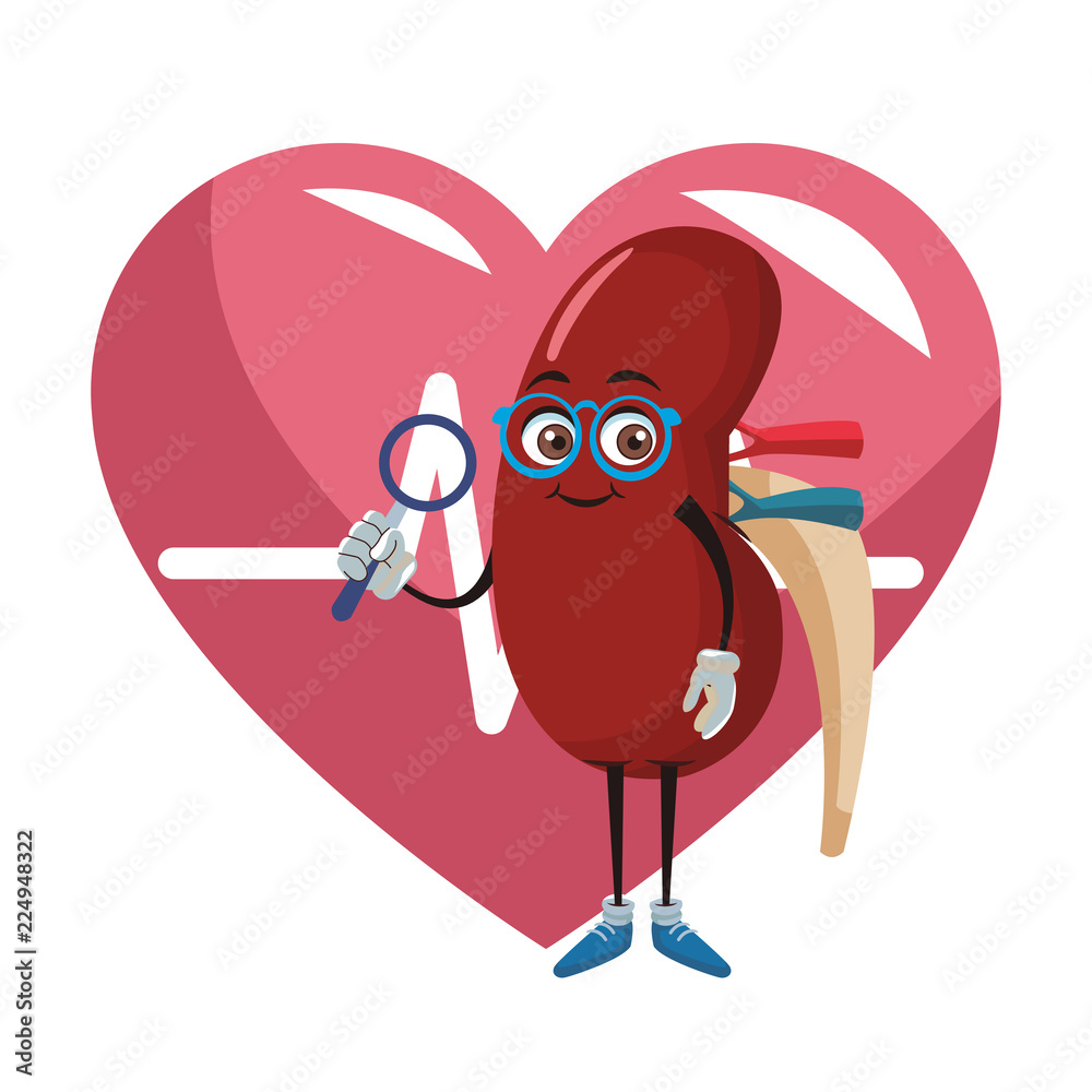Kidney funny cartoon Stock Vector | Adobe Stock