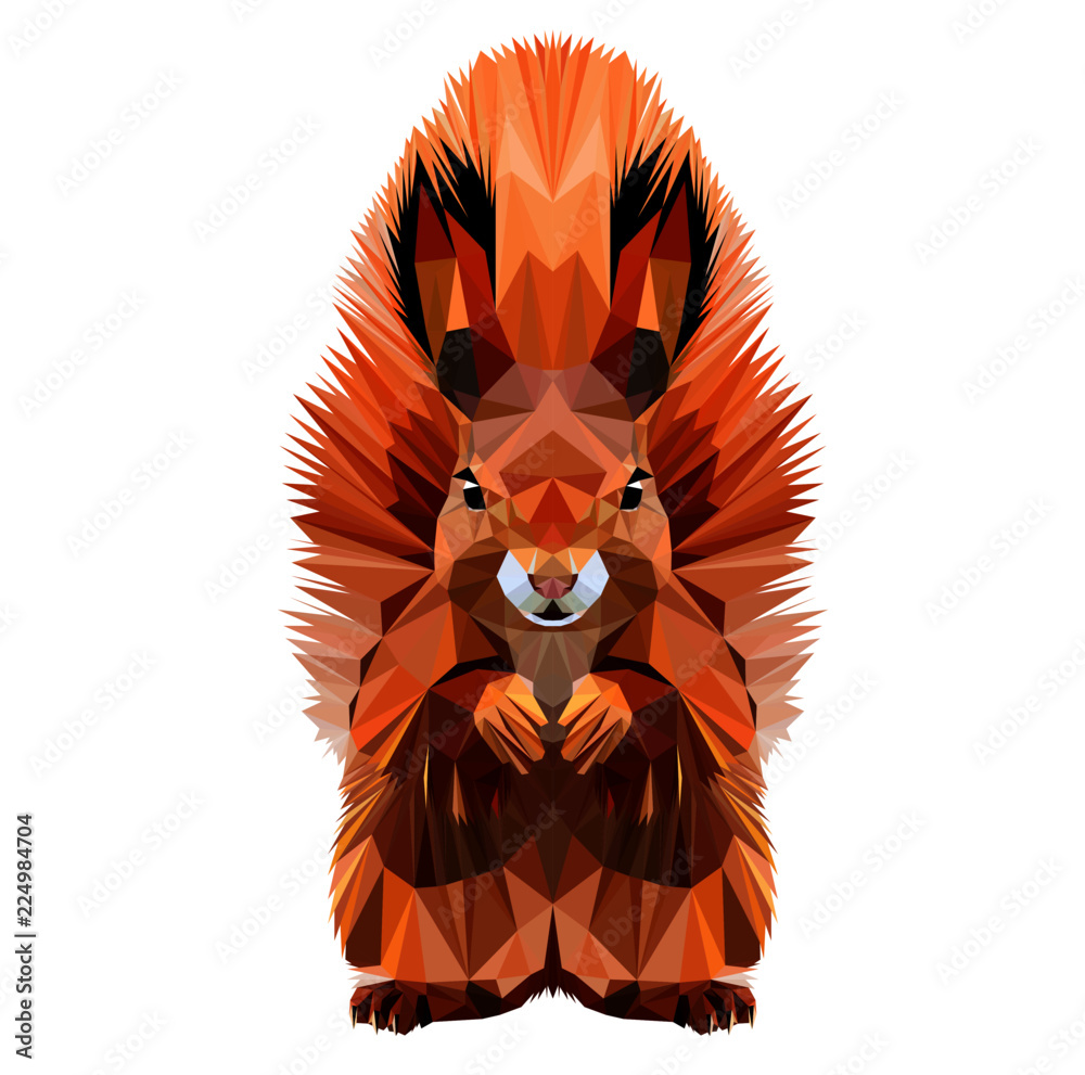 Squirrel with fluffy ears and tail, low poly triangular vector ...