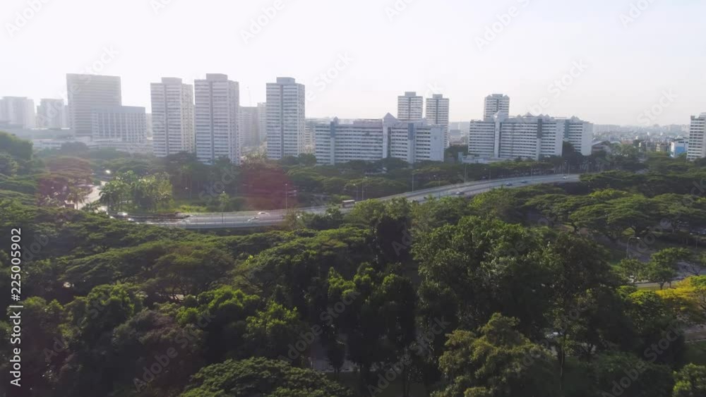 Aerial view tree grove in Gardens by the Bay and Marina Bay Sands in ...