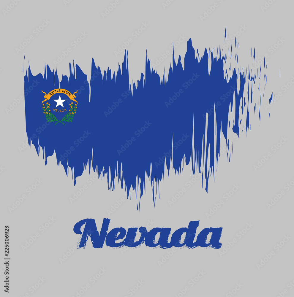 Brush style color flag of Nevada, Solid cobalt blue field. The canton ...