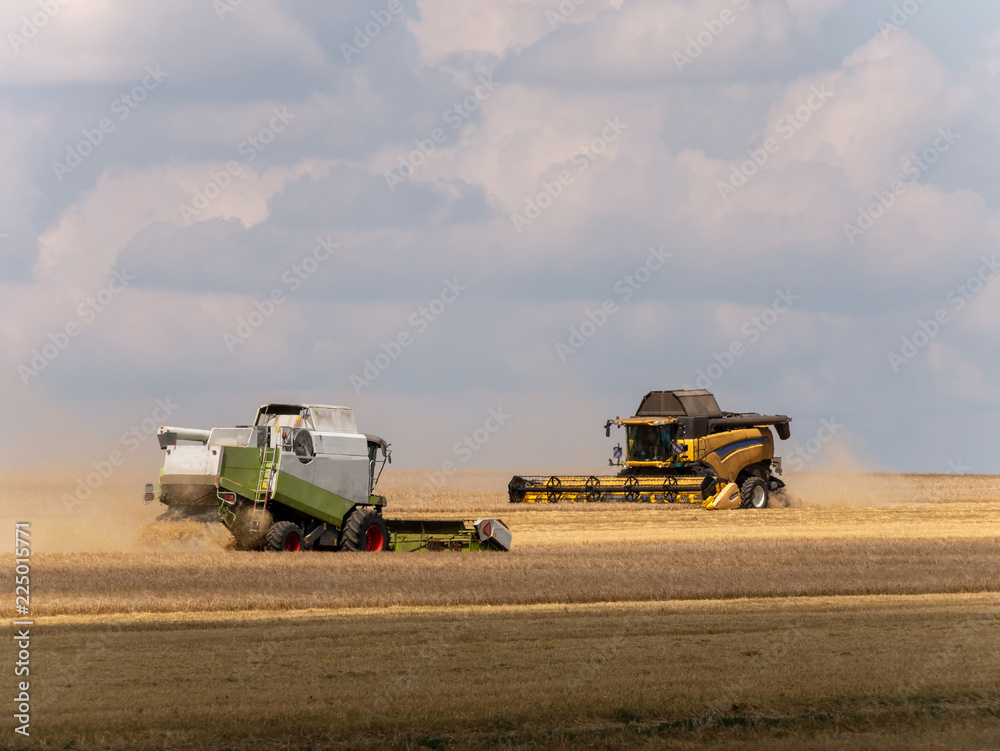 Two combine harvesters on grain field. Summer harvest and blue sky ...