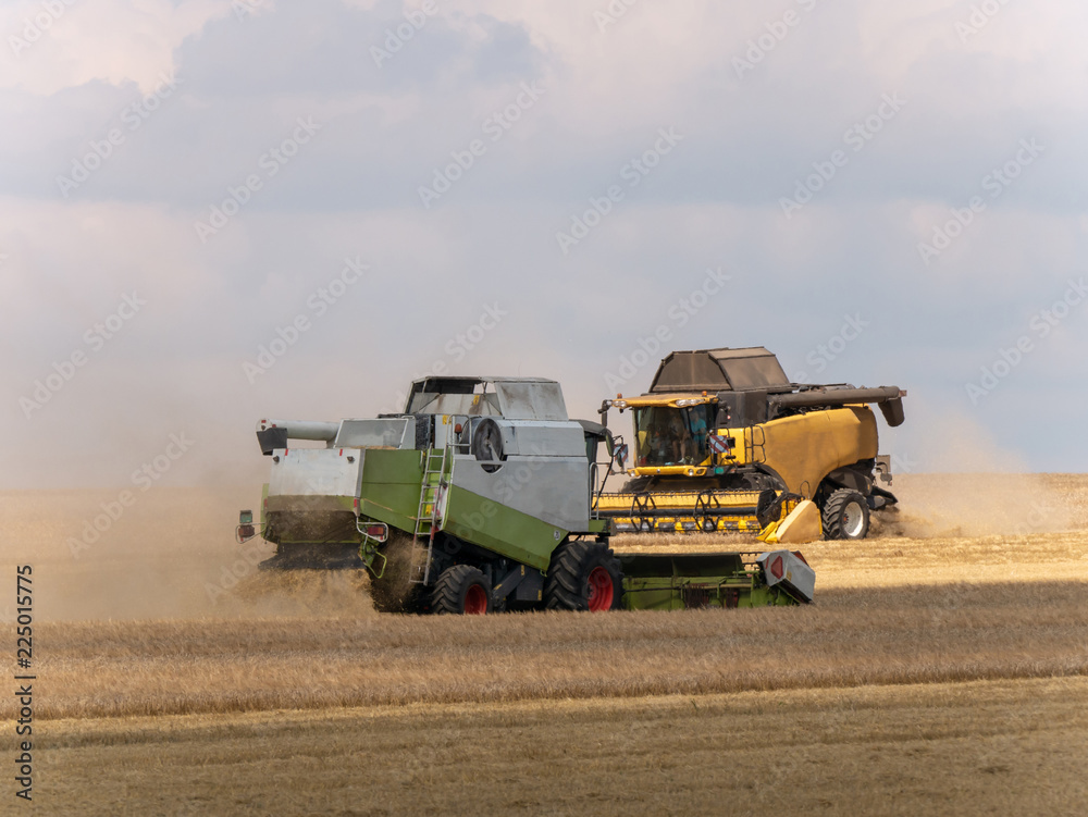Two combine harvesters on grain field. Summer harvest and blue sky ...