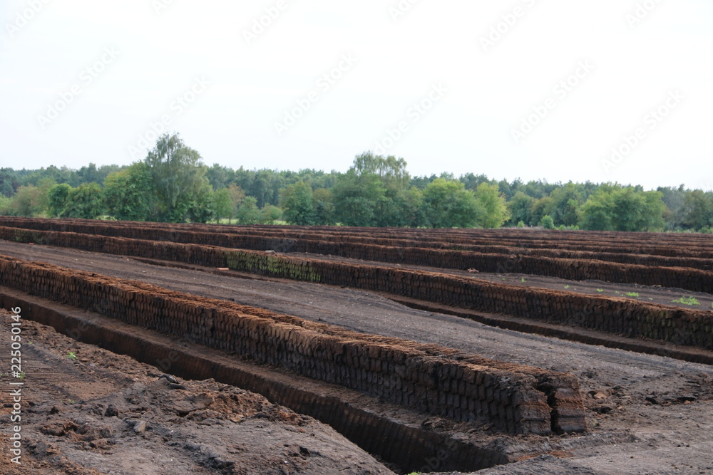 Torf lagert auf Torffeld zur Trocknung Stock-Foto | Adobe Stock