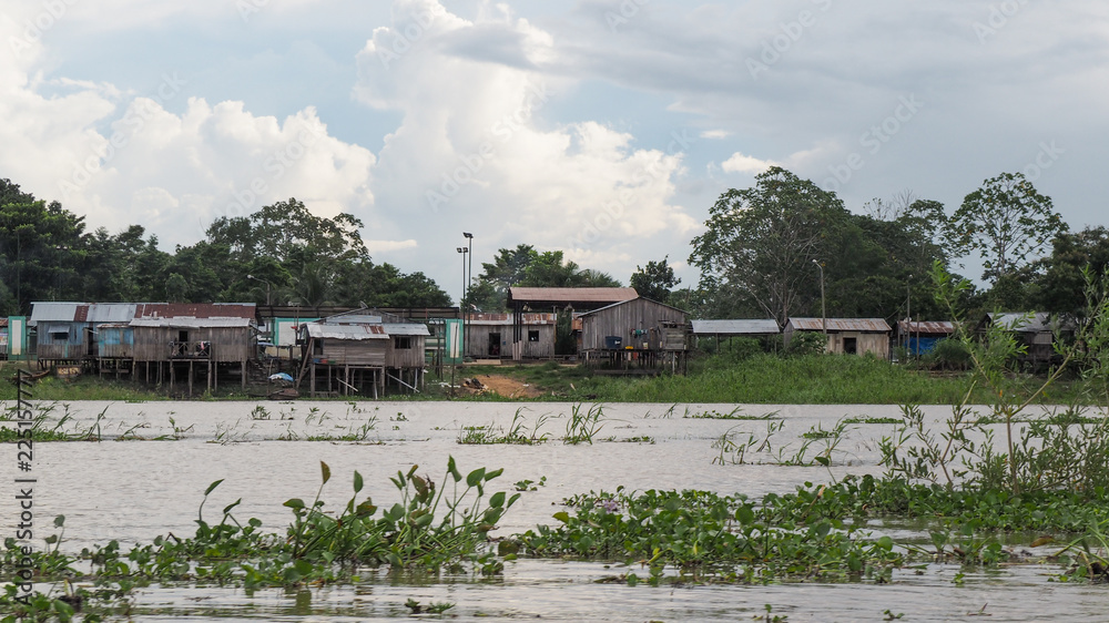 remote village in the amazon rainforest of peru Stock Photo | Adobe Stock
