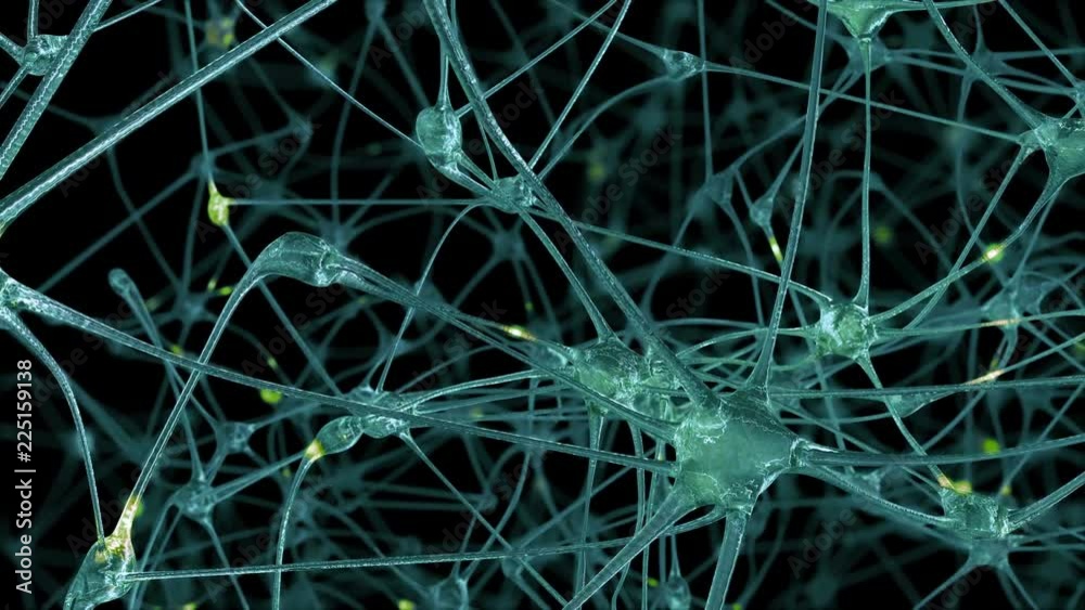 Journey through a network of neuronal cells and synapses in the brain ...