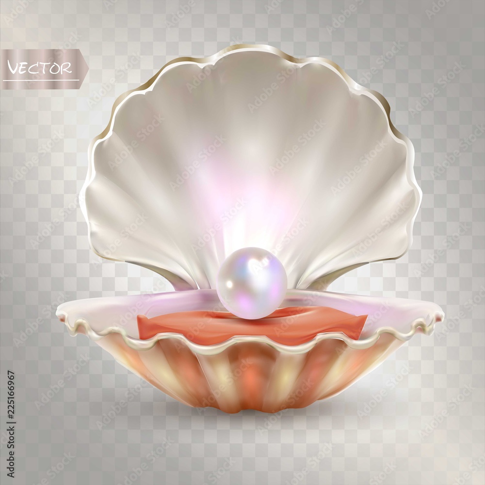 Vector realistic beautiful 3D opened shell with shining pearl inside ...