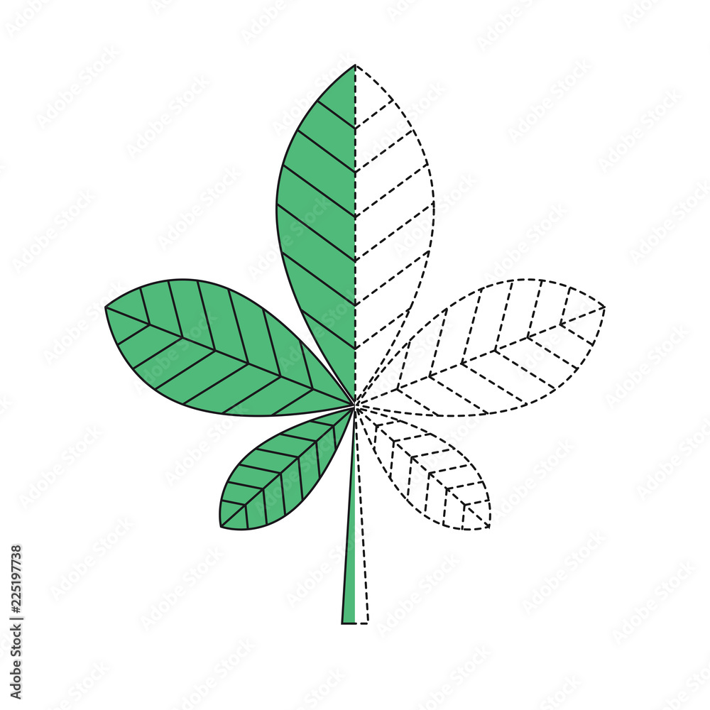 Leaf Drawing For Kids