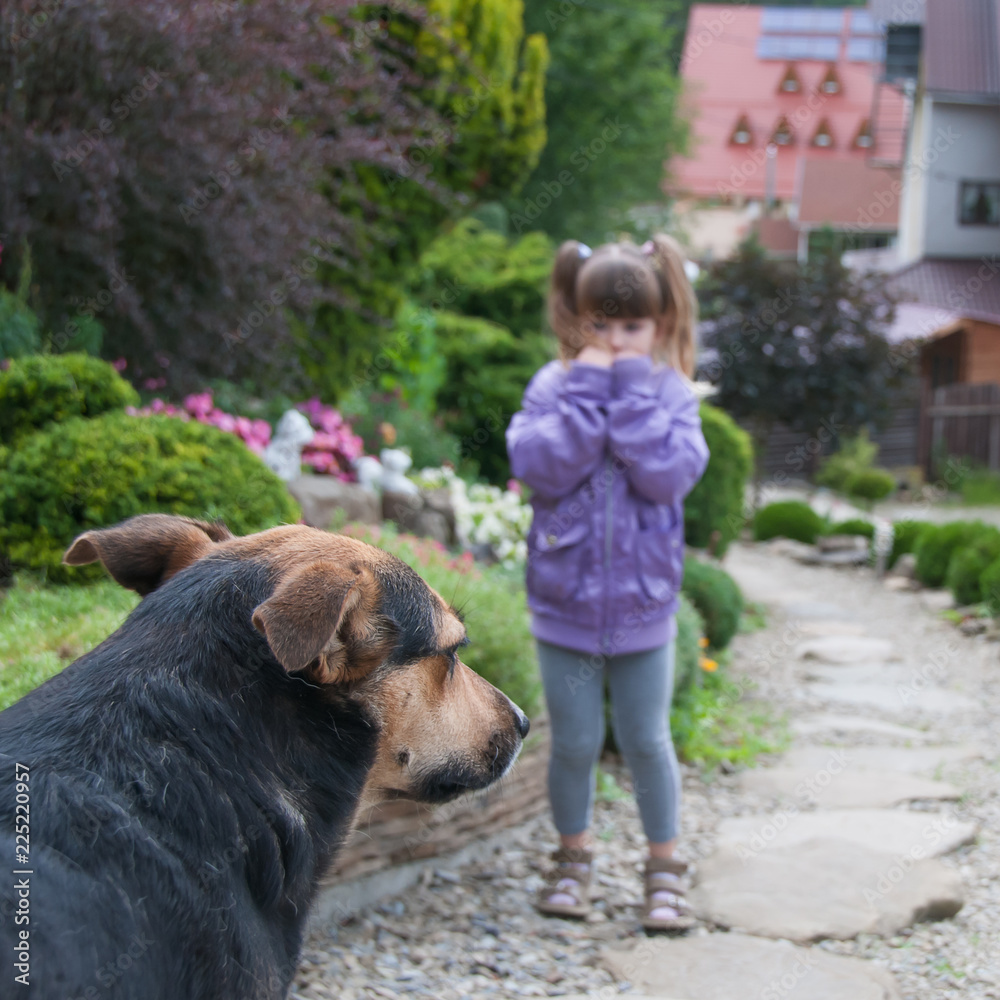 Little girl is scared by a dog. Stock Photo | Adobe Stock