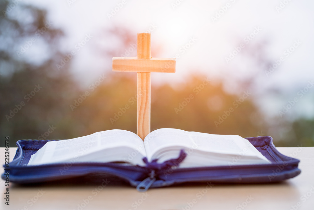 open Bible, script in blur with focus on palm cross,on sunrise ...