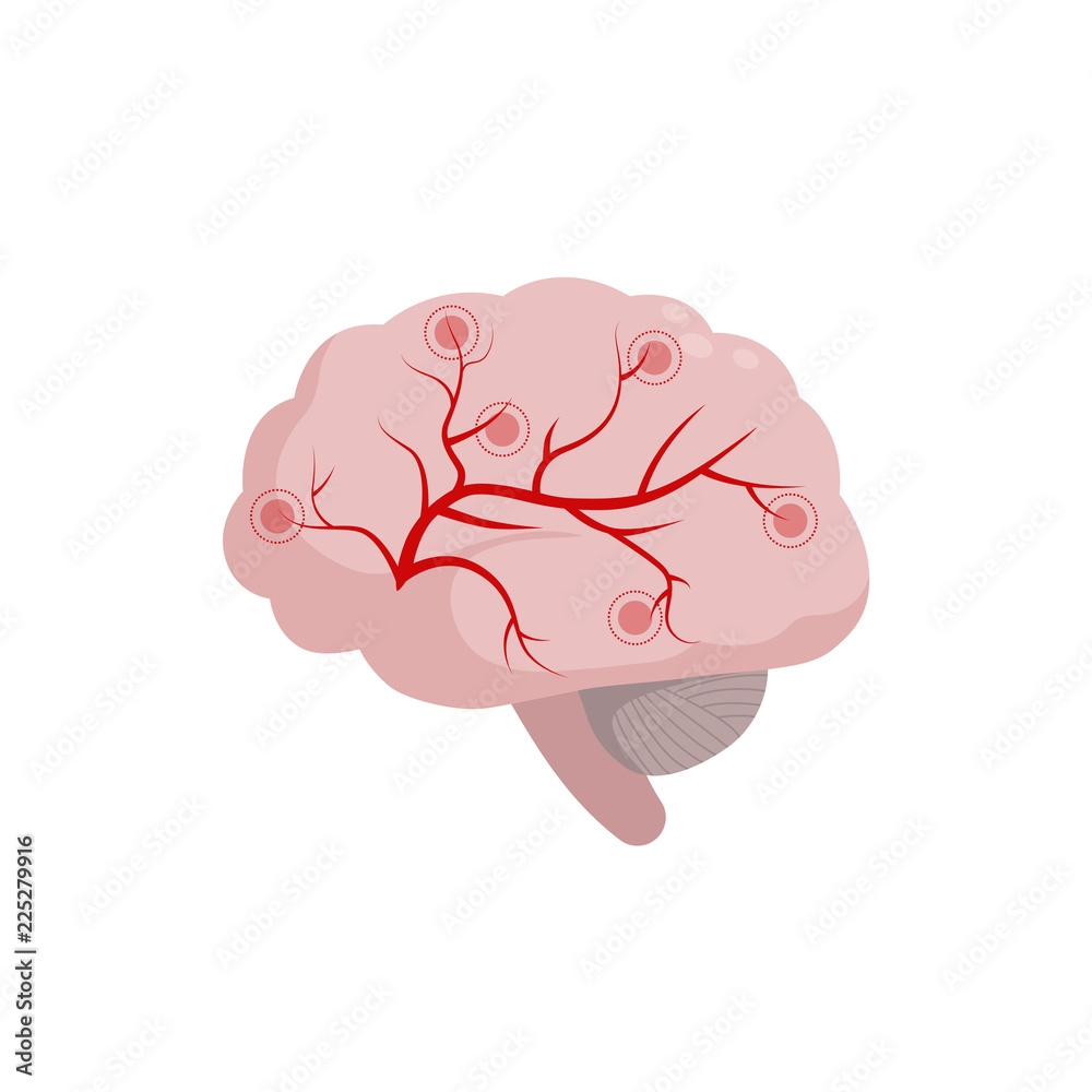 Brain icon isolated on white background, medical illustration in flat ...