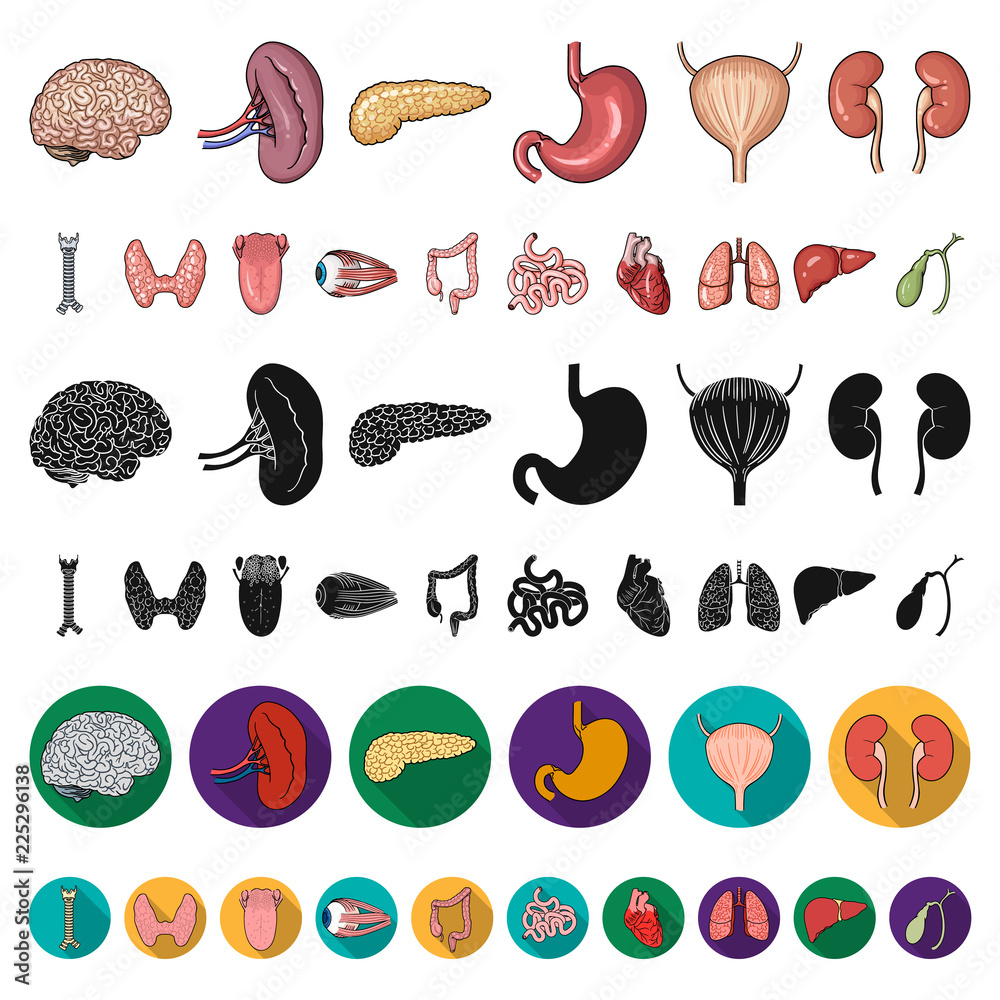 Vetor de Human organs cartoon icons in set collection for design ...