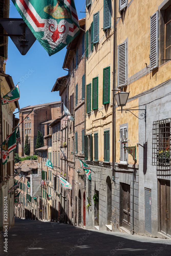 Palio flags representing a district competing in the famous horse race ...