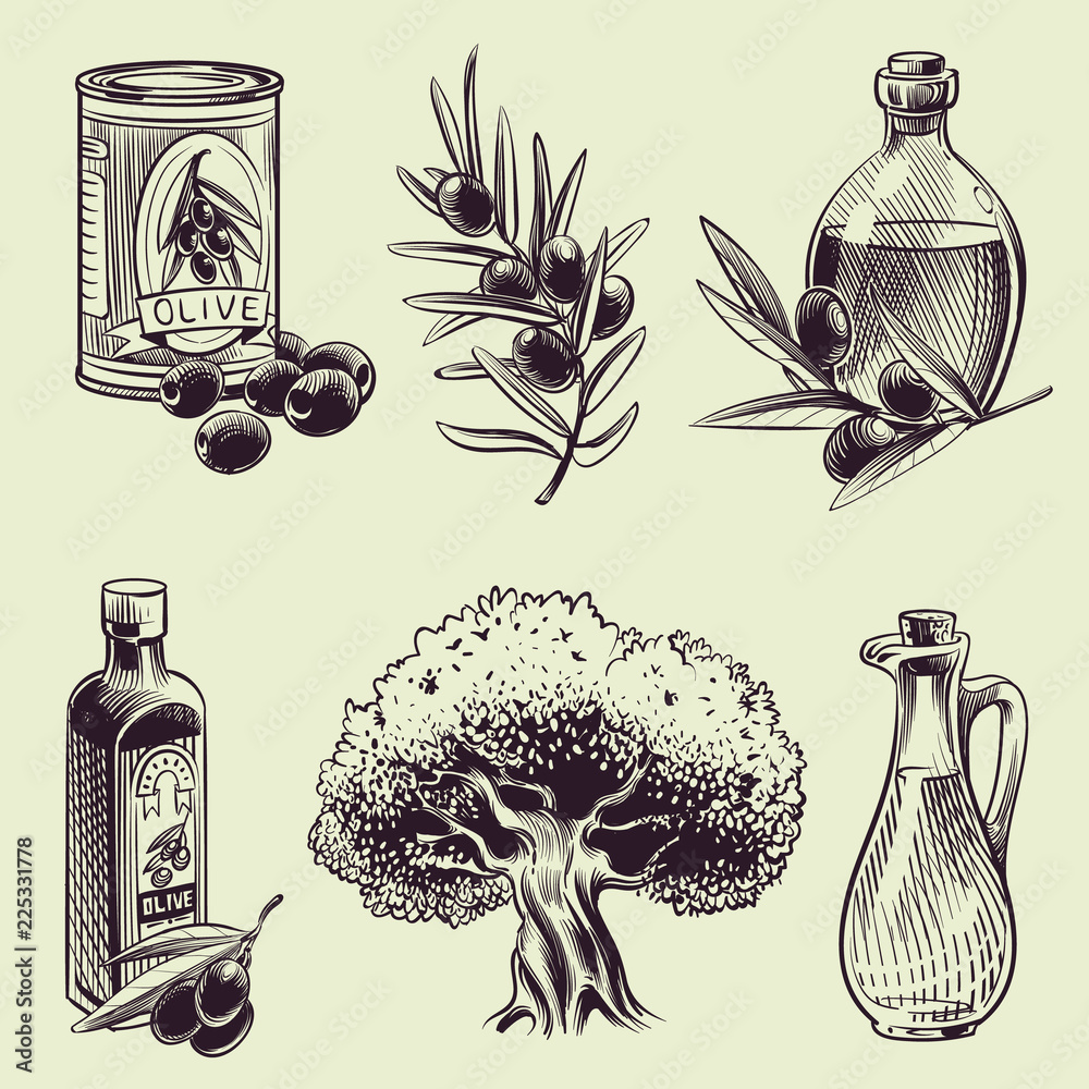 Hand drawing olives. Vintage olive branches oil bottles and can ...