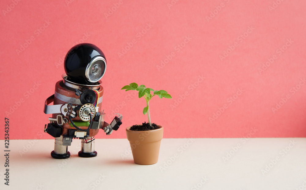 Robot with a small green sprout plant in a clay flower pot. Organic eco ...