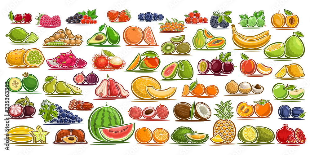Vector set of fresh Fruits, 49 cut out organic fruits and berries ...